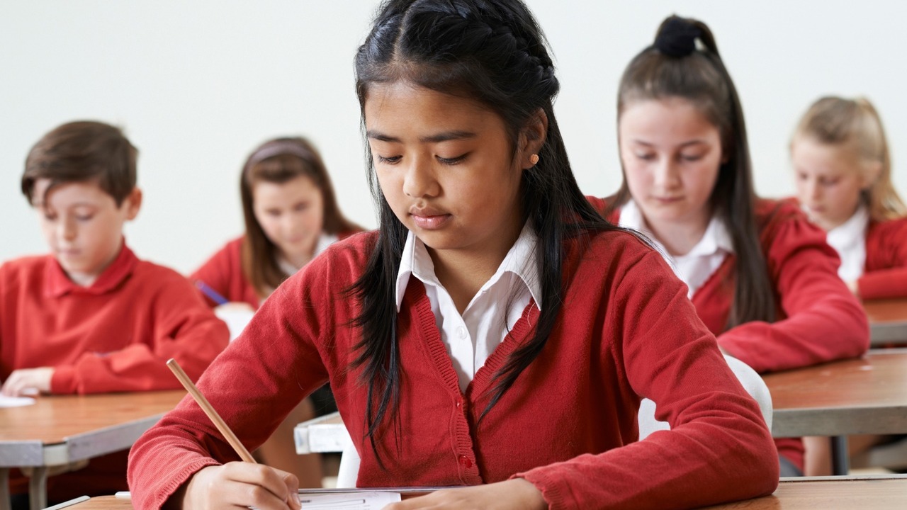 Should Exams Be Banned NEGU Tuition